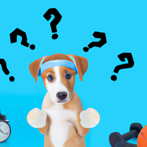 How Much Exercise Does A Puppy Need One Top Dog How Much Exercise Does A Puppy Need One Top Dog